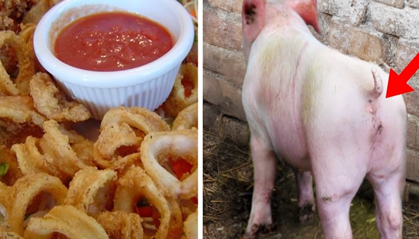 The Most disgusting food we eat in America