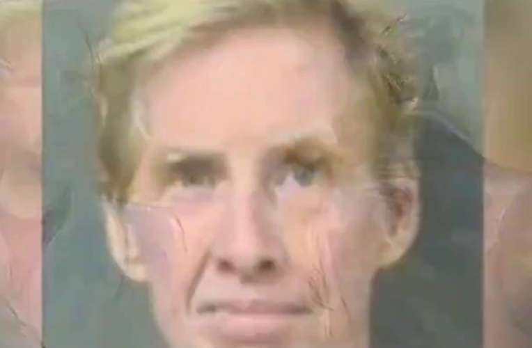 Ryan Routh allegedly met with members of Congress before attempt on ...