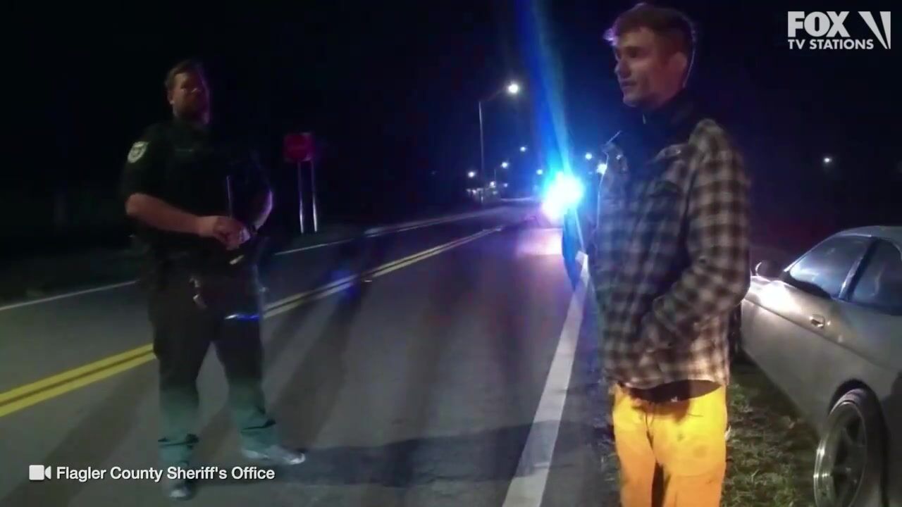 Florida Man allegedly stole dog food from store, left his debit card ...