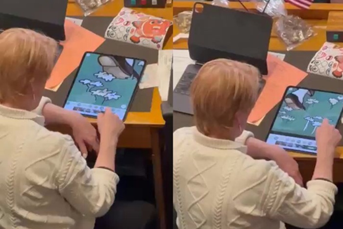 Rep. Amy Paschal caught playing game during session