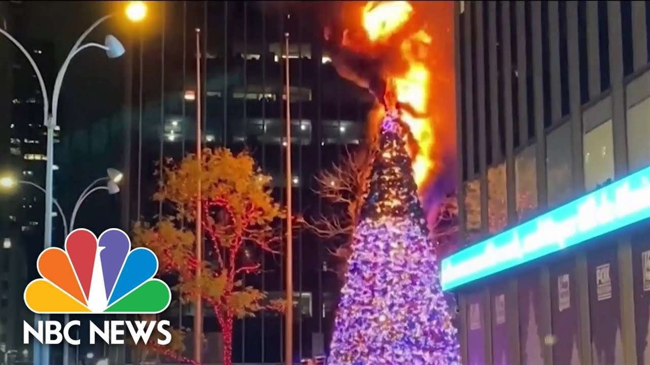 Arson suspect in Fox News Christmas Tree fire released on NO bail ...
